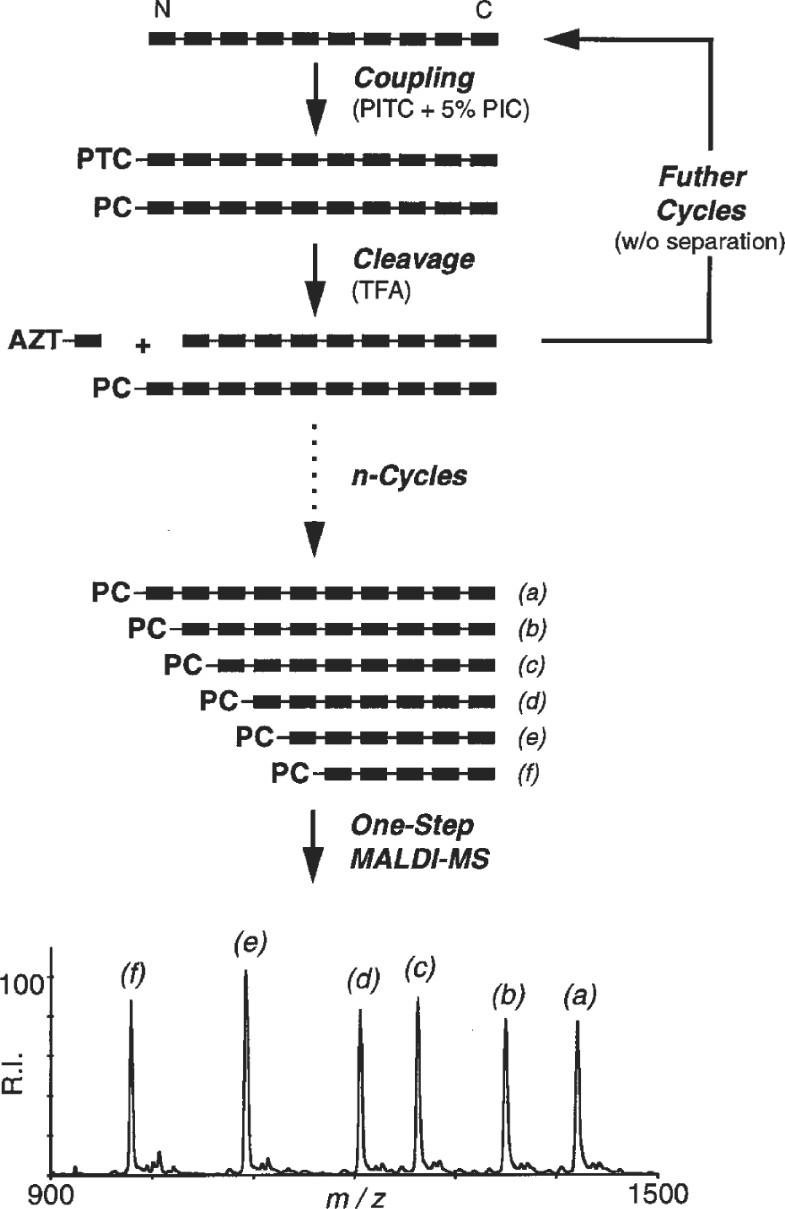Protein Ladder Sequencing | SpringerLink
