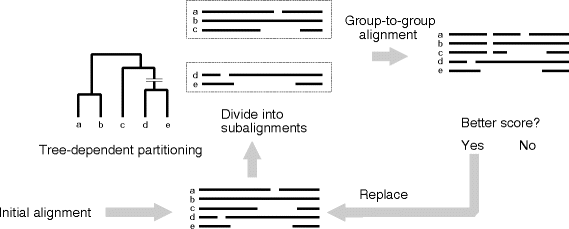 Multiple Alignment of DNA Sequences with MAFFT | SpringerLink