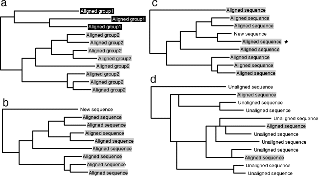 Multiple Alignment of DNA Sequences with MAFFT | SpringerLink