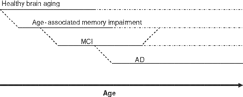 Normal and Pathological Aging: From Animals to Humans | SpringerLink