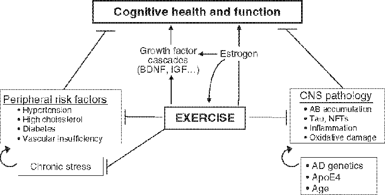 Normal and Pathological Aging: From Animals to Humans | SpringerLink