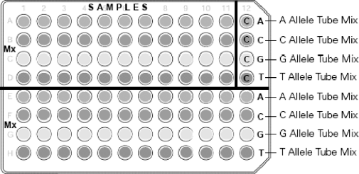 Molecular Inversion Probe Assay | SpringerLink