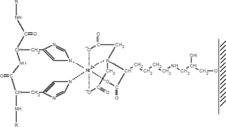 Immobilized Metal Ion Affinity Chromatography of Histidine-Tagged ...