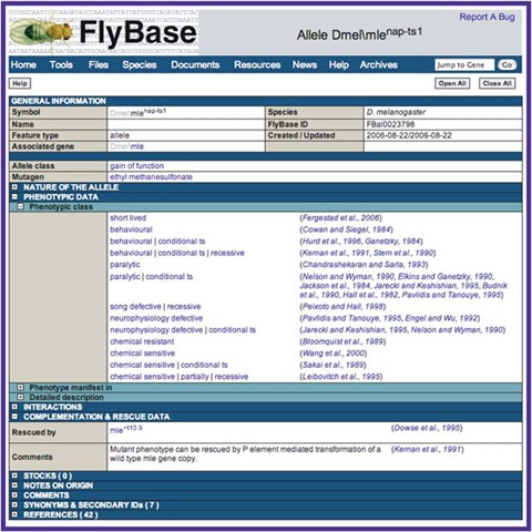 FlyBase | SpringerLink