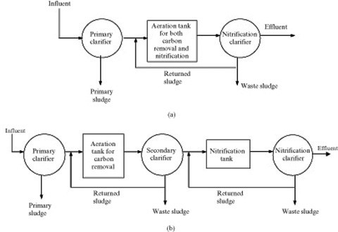 Biological Nitrification and Denitrification Processes | SpringerLink