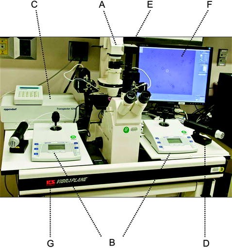 Pronuclear Microinjection and Oviduct Transfer Procedures for ...