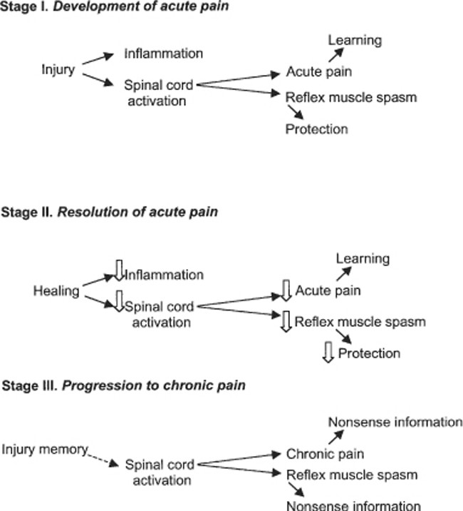 Physiology of Chronic Pain | SpringerLink
