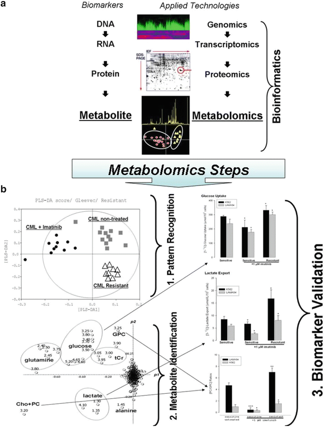 Metabolomics of Cancer | SpringerLink