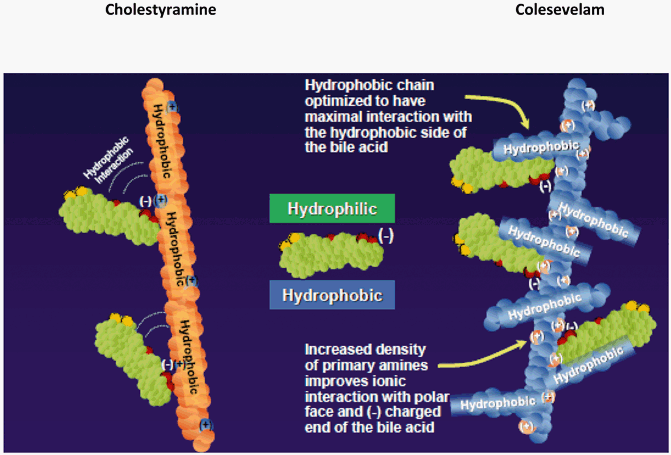 Bile Acid Sequestrants: Risk–Benefits and Role in Treating ...