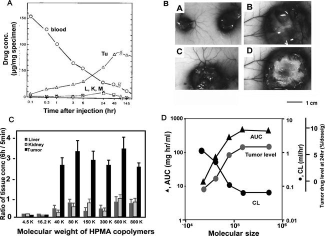 Enhanced Permeability and Retention (EPR) Effect for Anticancer ...
