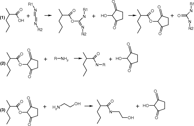 Amine Coupling Through EDC/NHS: A Practical Approach | SpringerLink