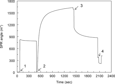 Amine Coupling Through EDC/NHS: A Practical Approach | SpringerLink