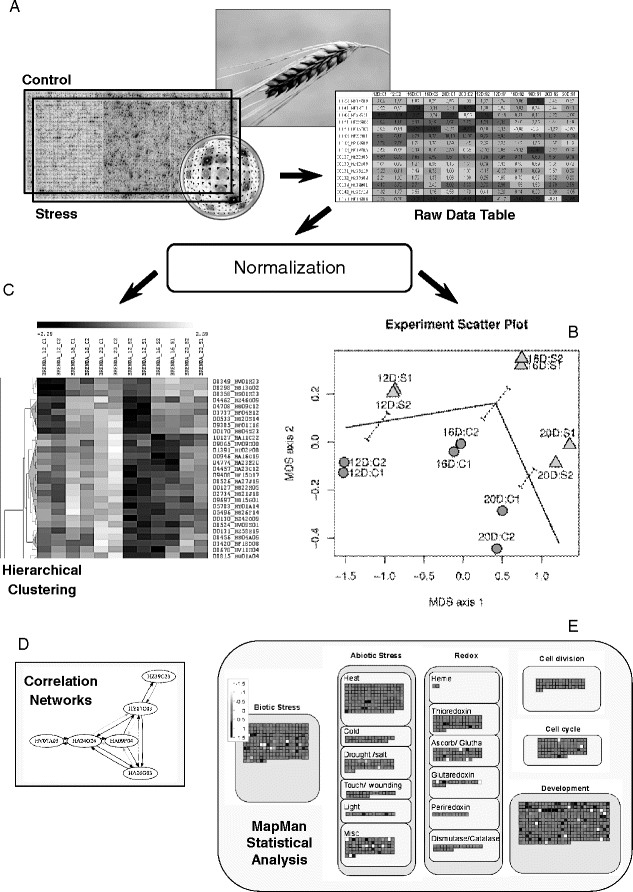 Array Platforms and Bioinformatics Tools for the Analysis of Plant ...
