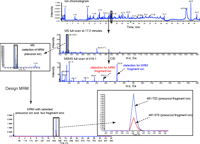 Basic Design of MRM Assays for Peptide Quantification | SpringerLink
