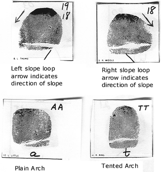 Fingerprints | SpringerLink