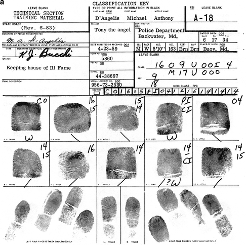 Fingerprints | SpringerLink