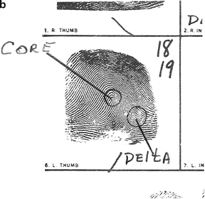 Fingerprints | SpringerLink