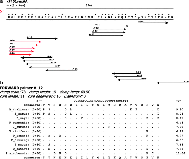 CODEHOP PCR and CODEHOP PCR Primer Design | SpringerLink