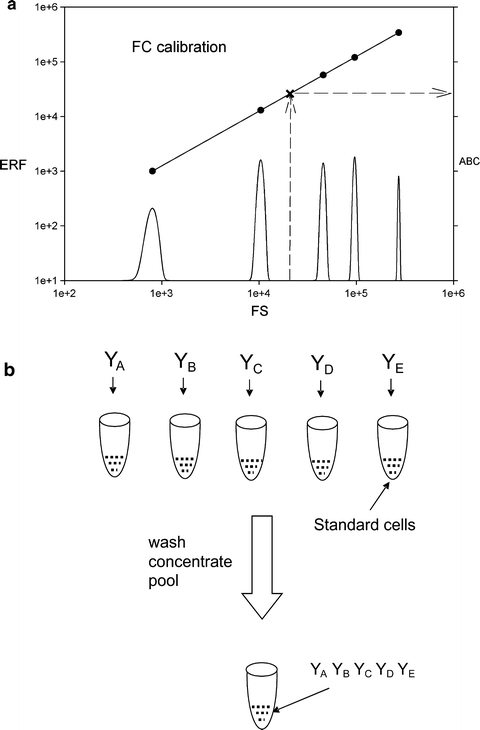 Quantitative Fluorescence Measurements with Multicolor Flow Cytometry | SpringerLink