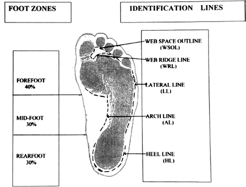 Bare Footprint Identification | SpringerLink