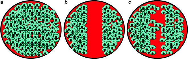 Cell Migration and Invasion Assays | SpringerLink