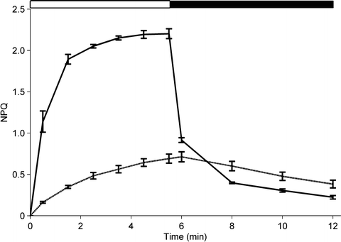 Use of a Pulse-Amplitude Modulated Chlorophyll Fluorometer to Study the ...