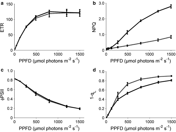 Use of a Pulse-Amplitude Modulated Chlorophyll Fluorometer to Study the ...