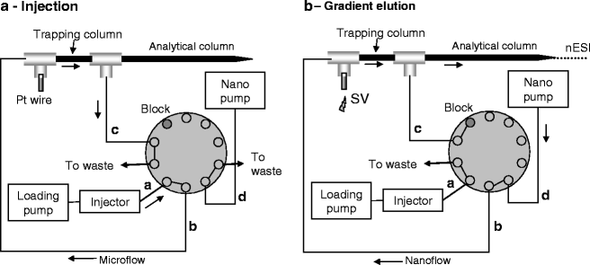 Nano LC–MS/MS: A Robust Setup for Proteomic Analysis | SpringerLink