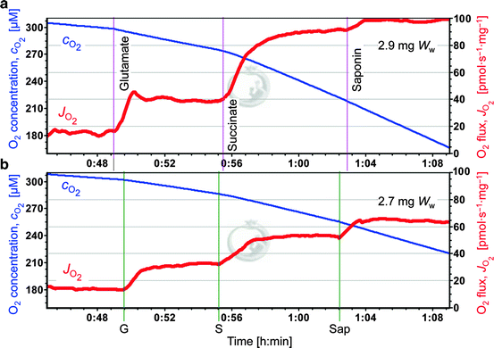 High-Resolution Respirometry: OXPHOS Protocols for Human Cells and ...
