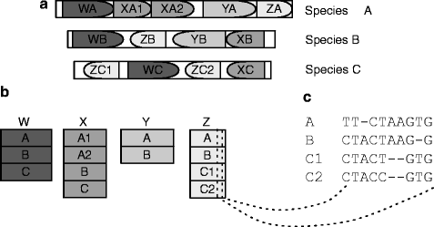 Whole-Genome Alignment | SpringerLink