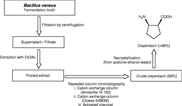 An Introduction to Natural Products Isolation | SpringerLink