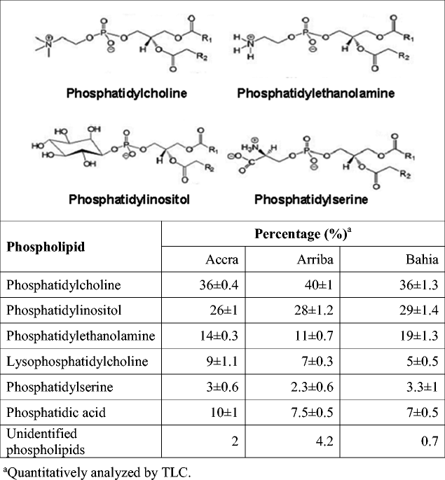 Composition of Cacao Beans | SpringerLink