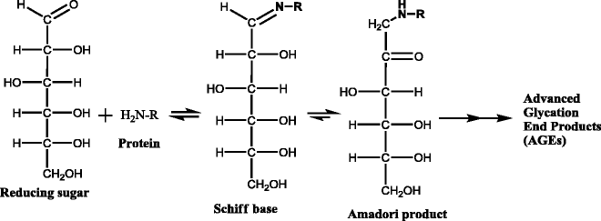 Analysis of Protein Glycation Using Phenylboronate Acrylamide Gel ...