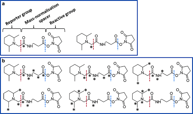 Relative Protein Quantification by MS/MS Using the Tandem Mass Tag ...