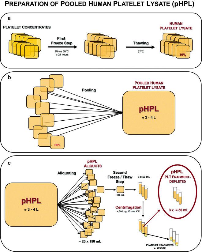 Generation of a Pool of Human Platelet Lysate and Efficient Use in Cell ...