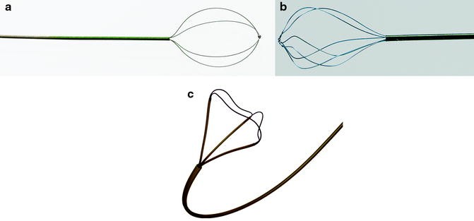 Stone Baskets and Forceps | SpringerLink