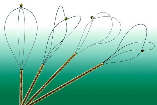 Stone Baskets and Forceps | SpringerLink