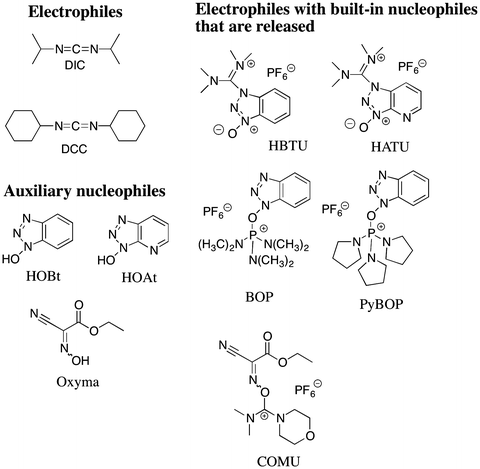 Solid-Phase Peptide Synthesis: An Introduction | SpringerLink