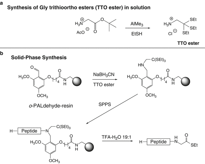 Synthesis of C-Terminal Peptide Thioesters Using Fmoc-Based Solid-Phase ...