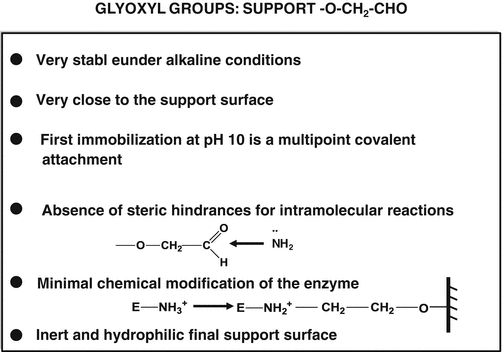 Stabilization of Enzymes by Multipoint Covalent Immobilization on ...