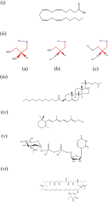 Lipidomics: Extraction Protocols for Biological Matrices | SpringerLink