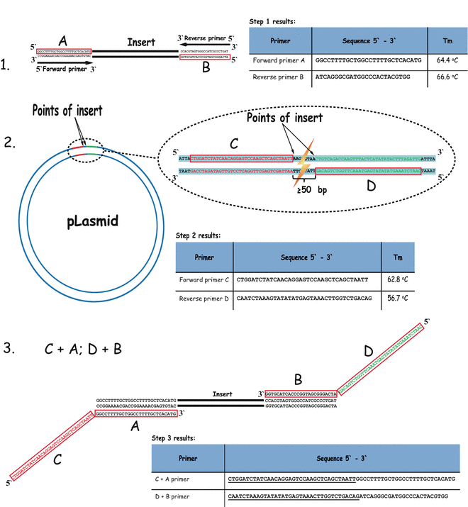 Overlap Extension PCR Cloning | SpringerLink