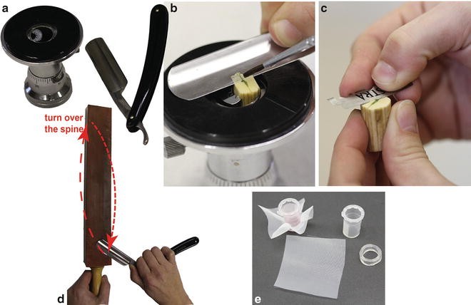Essential Methods of Plant Sample Preparation for Light Microscopy ...