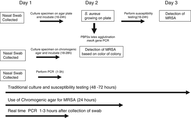 Rapid Methods for Detection of MRSA in Clinical Specimens | SpringerLink