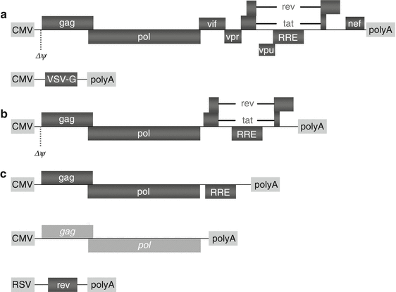HIV-1-Based Lentiviral Vectors | SpringerLink
