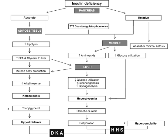 Diabetic Ketoacidosis And Hyperosmolar Hyperglycemic Syndrome