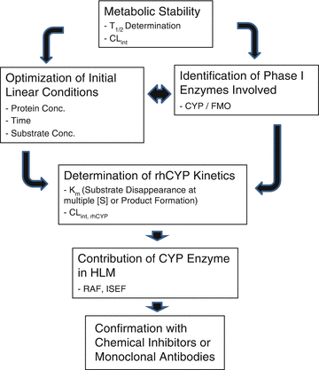In Vitro CYP/FMO Reaction Phenotyping | SpringerLink