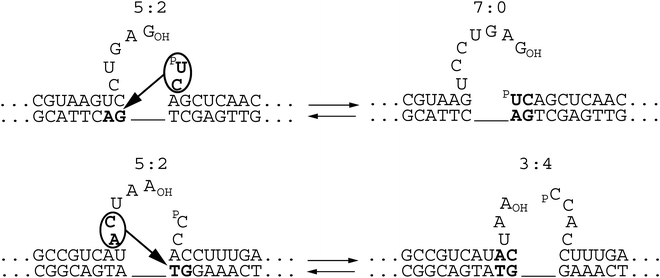 Efficient Splinted Ligation of Synthetic RNA Using RNA Ligase ...
