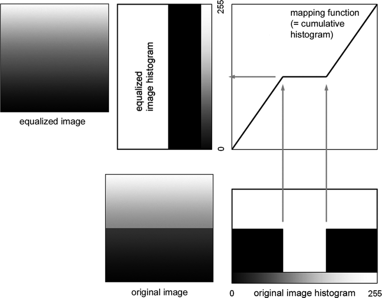 Contrast Adjustment | SpringerLink