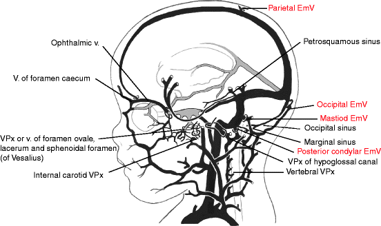 Normal Anatomy of Intracranial Veins: Demonstration with MR Angiography ...